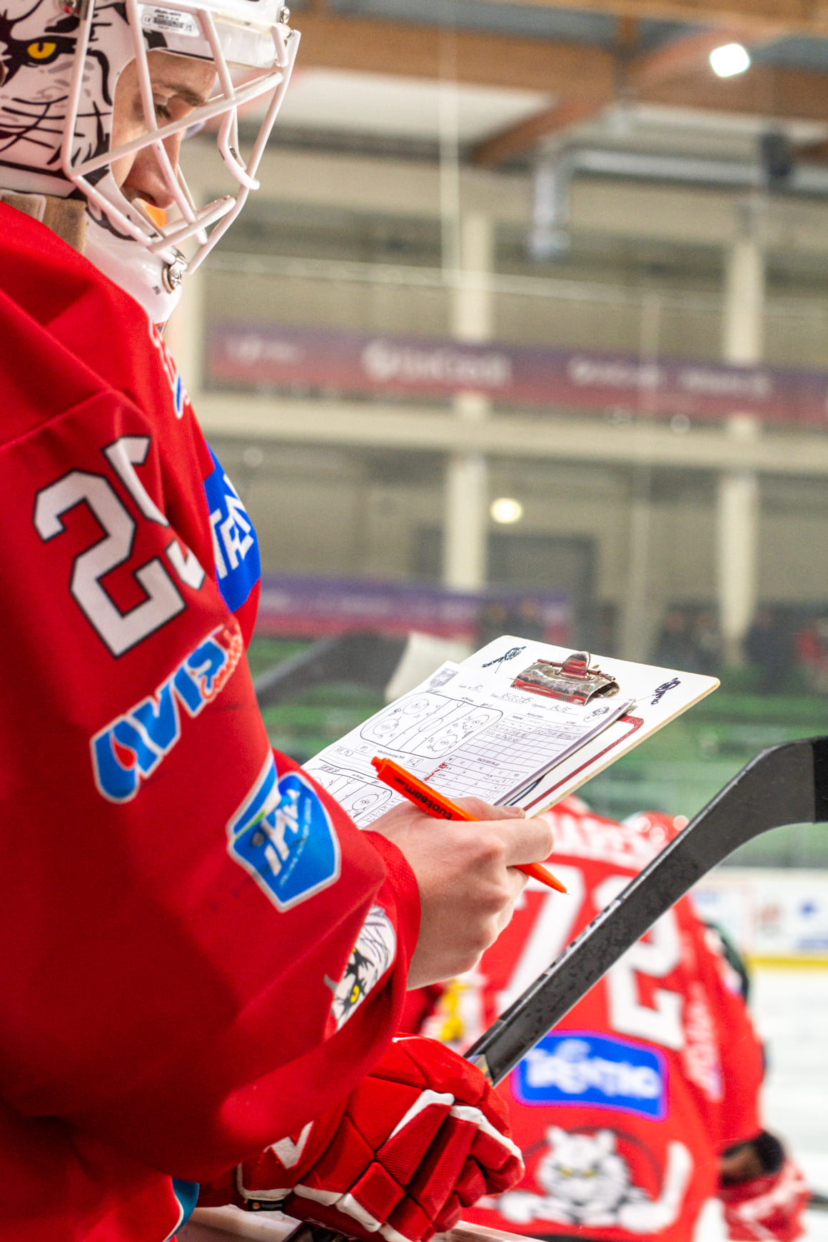 IHL, IHL Division I e IHL Women: si parte! Tutte le gare in diretta su FISG TV - Italia Hockey